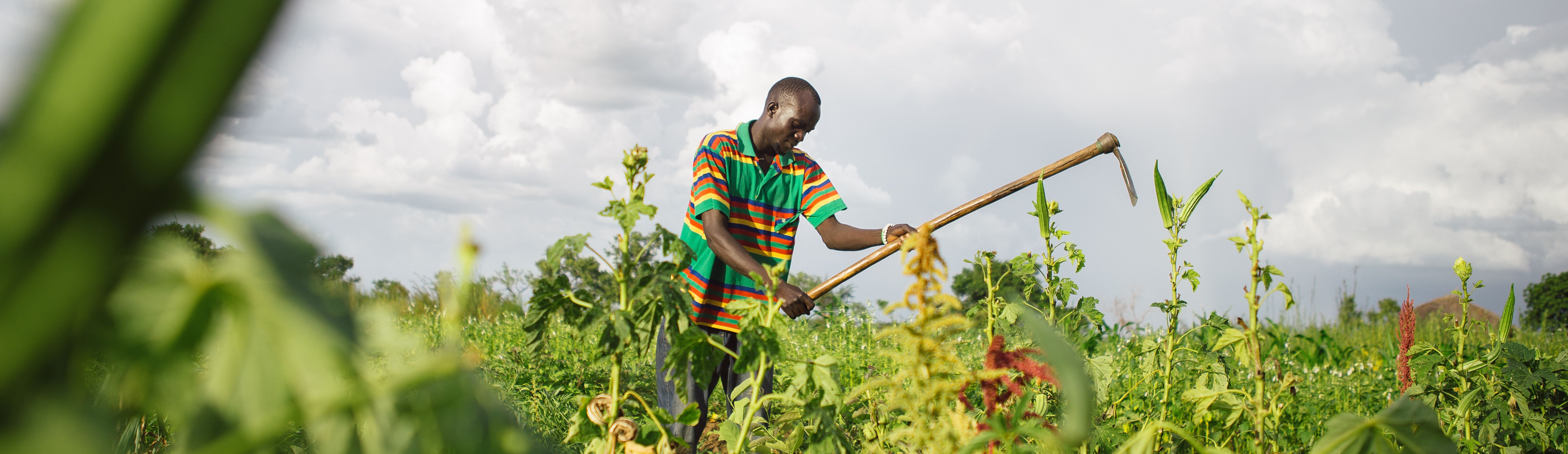 About us - Finn Church Aid – Action for Human Dignity